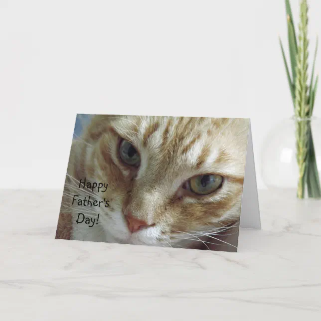 Happy Father's Day from Cat Card | Zazzle