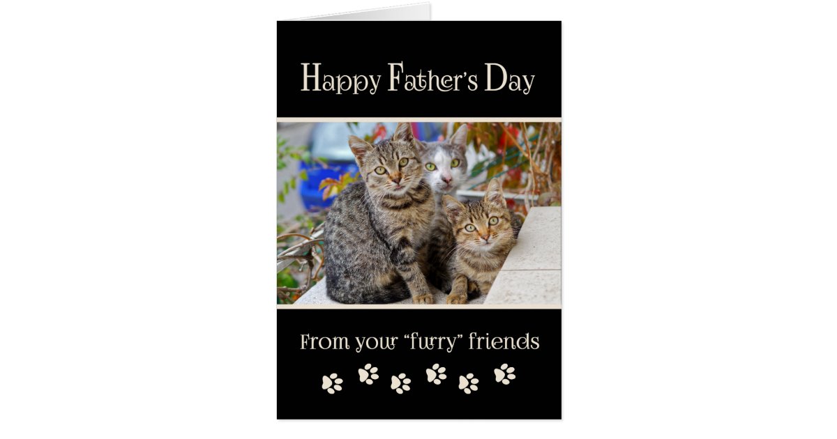 Happy Father's Day from Cats - photo | Zazzle