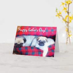 Happy Father's Day pugs greeting card | Zazzle