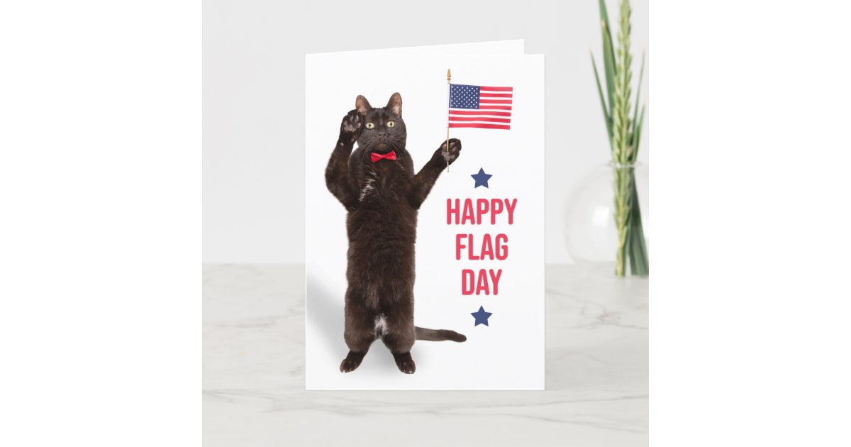 Happy Flag Day Funny Black Cat Holding Flag Holiday Card | Zazzle