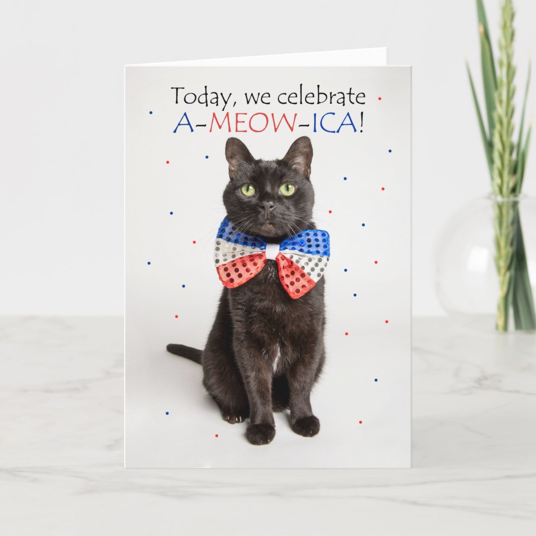 Happy Fourth of July For Anyone Cute Patriotic Cat Holiday Card | Zazzle