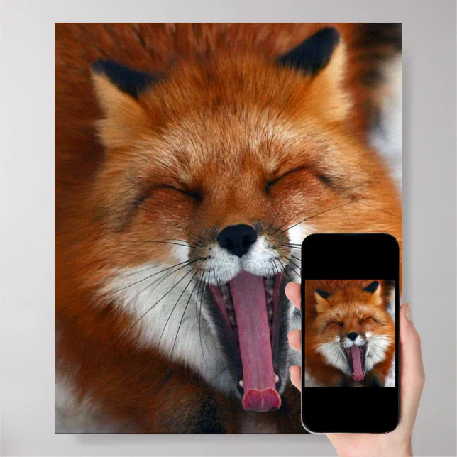 Happy Fox Wall Poster | Zazzle