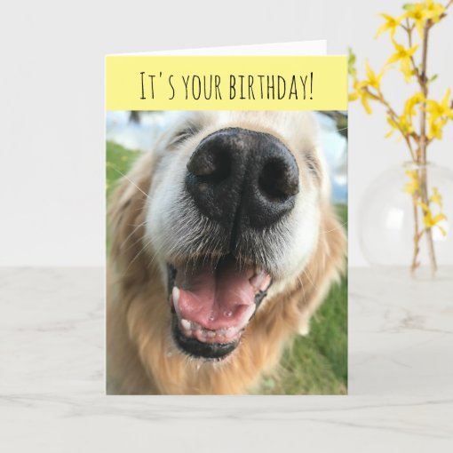 Happy Golden Retriever Dog Birthday Celebration Card | Zazzle