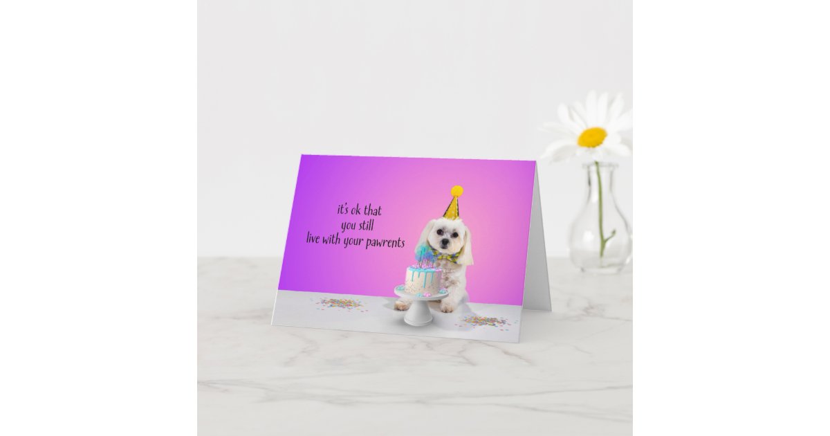 Happy Gotcha Day Greeting Card | Zazzle
