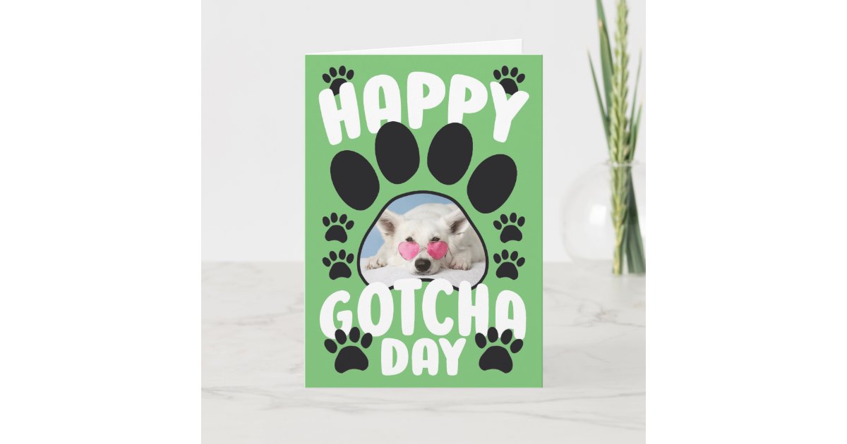 Happy Gotcha Day Pet Dog Card | Zazzle