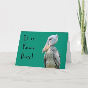 Happy Grouch Day Card with Grouchy Bird | Zazzle