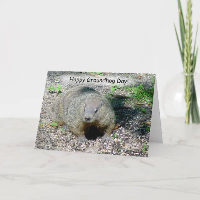 Happy Groundhog Day Card | Zazzle