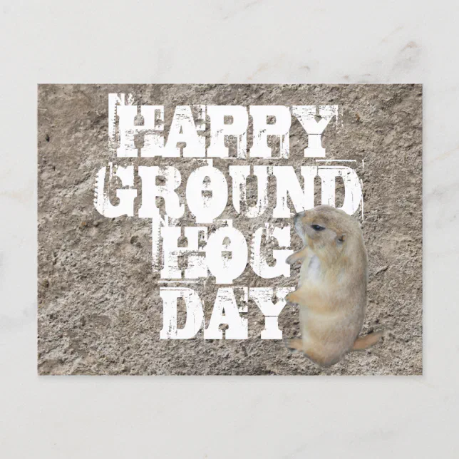 HAPPY GROUNDHOG DAY POSTCARD | Zazzle