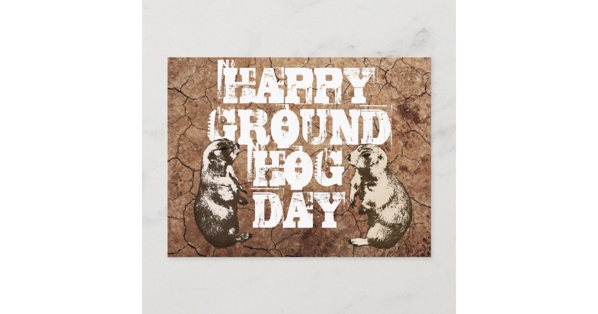 HAPPY GROUNDHOG DAY POSTCARD | Zazzle