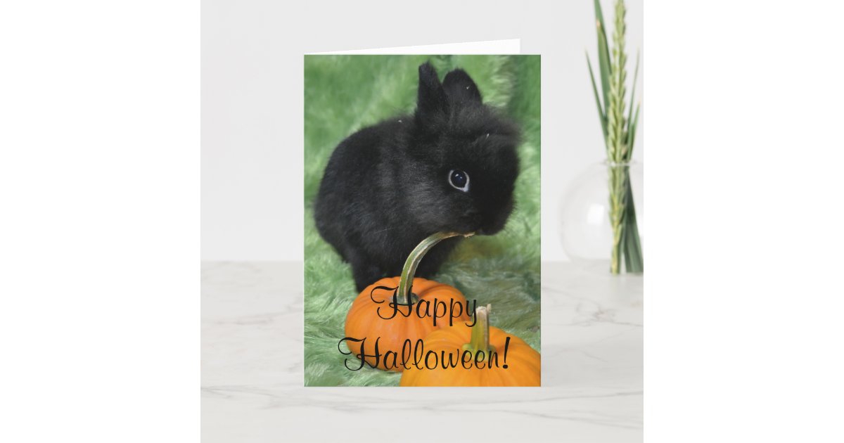 Happy Halloween Bunny Card | Zazzle