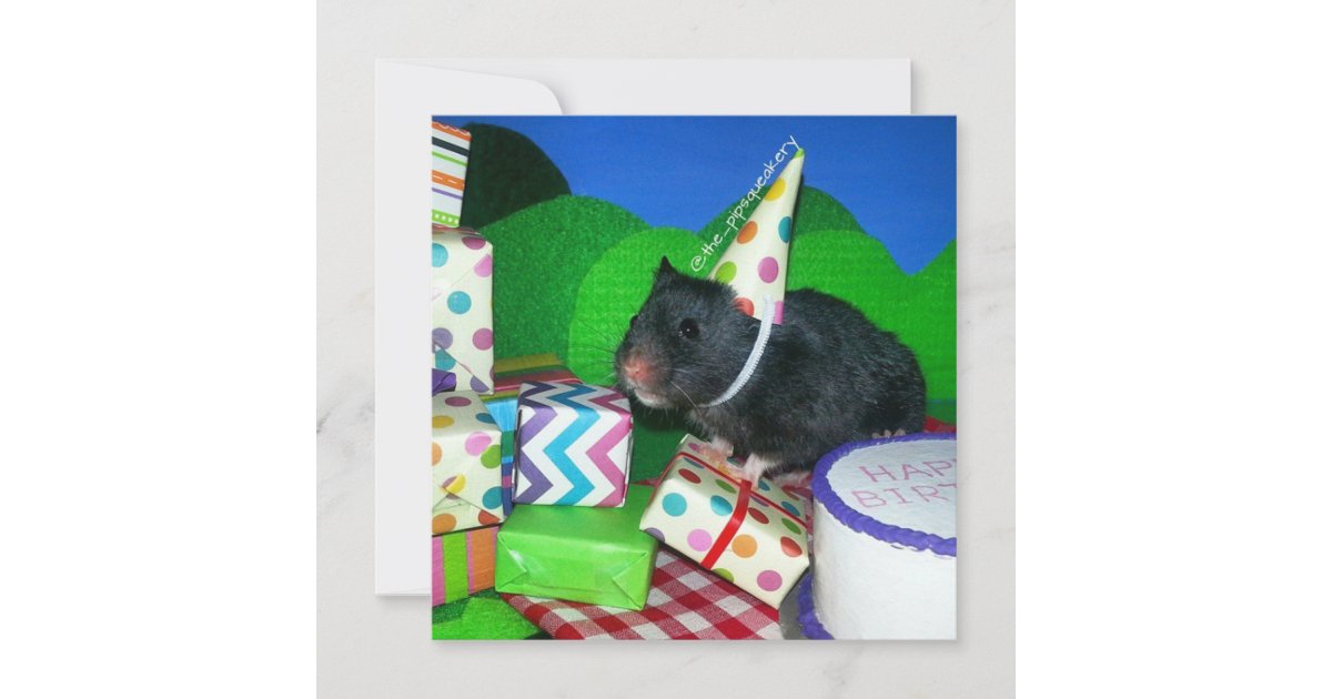 Happy Hamster Birthday! Card | Zazzle