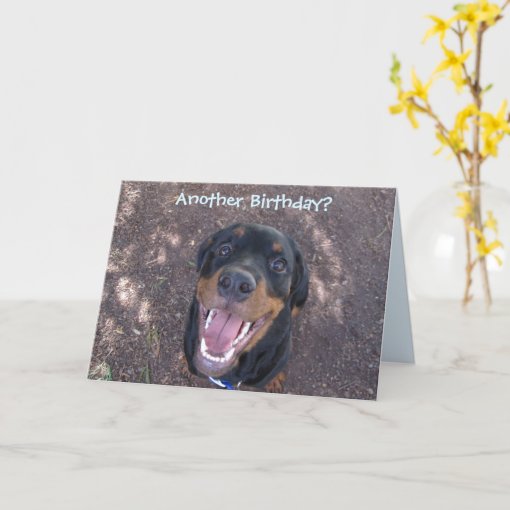Happy Heidi Birthday Card | Zazzle