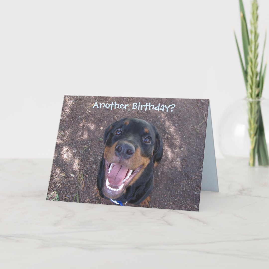 Happy Heidi Birthday Card | Zazzle
