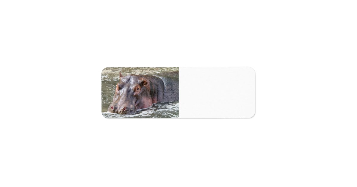 Happy Hippo Label | Zazzle