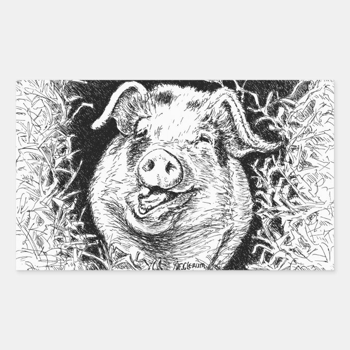 happy hog animal drawing rectangular sticker | Zazzle.com