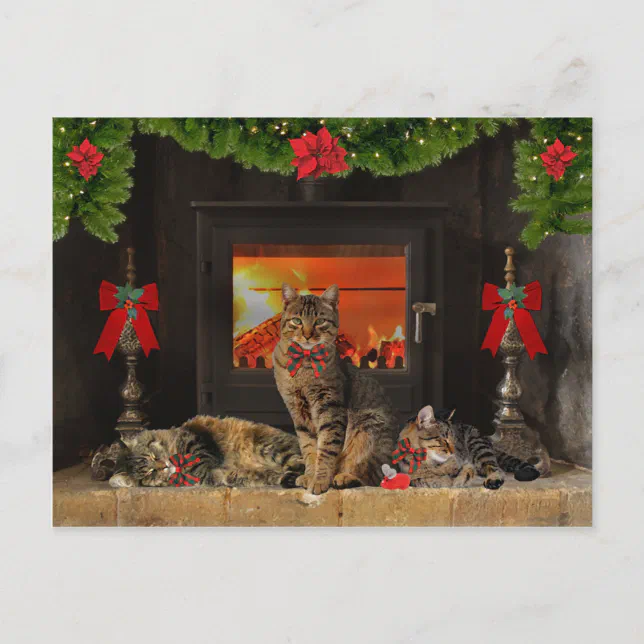 "Happy Holiday Cats" Holiday Postcard | Zazzle