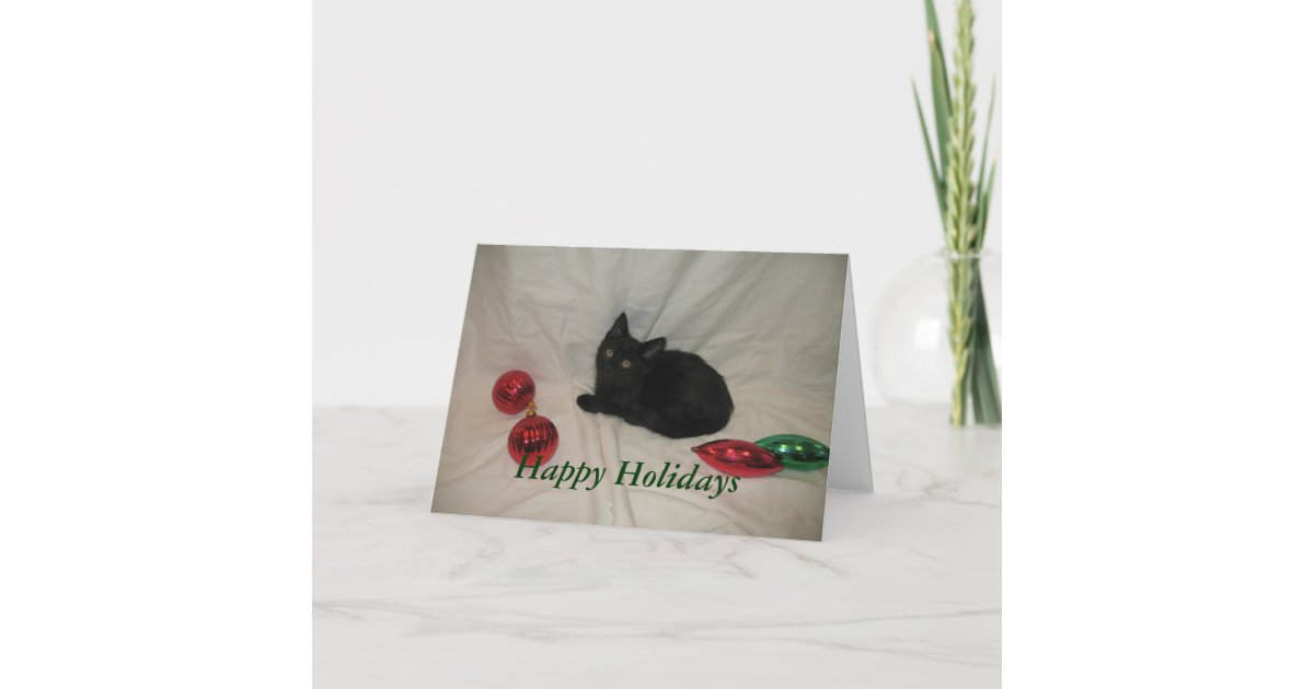 Happy Holidays Cat Card | Zazzle