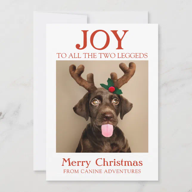 Happy Holidays Dog Photo From Dog Walker Holiday Card | Zazzle
