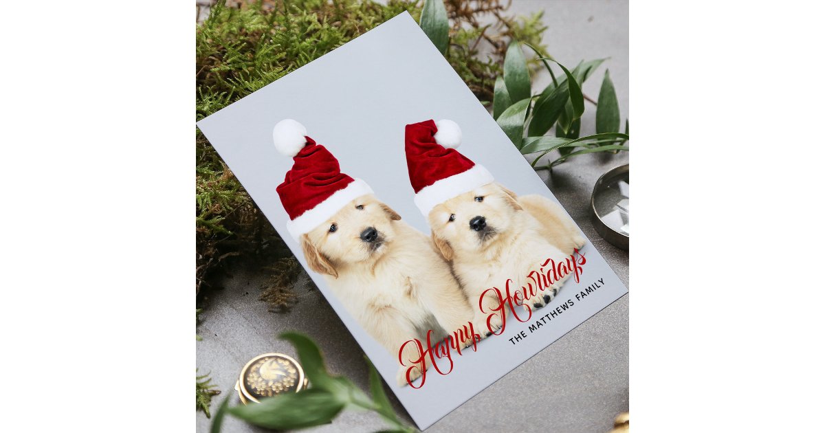 Happy Howlidays Pet Dog Holiday Photo | Christmas | Zazzle