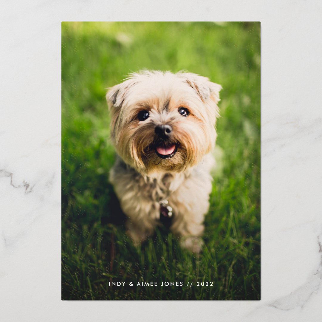 Happy Howlidays Pet Lover Gold Foil Holiday Card | Zazzle
