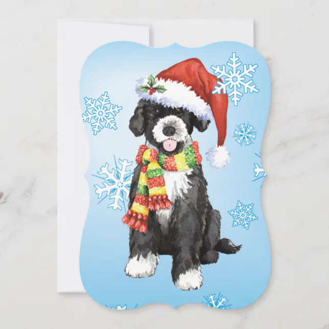 Happy Howlidays PWD Holiday Card | Zazzle