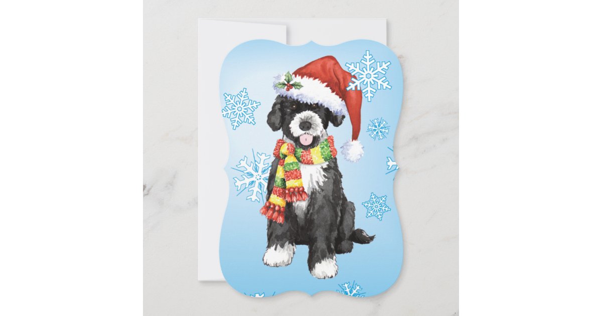 Happy Howlidays PWD Holiday Card | Zazzle