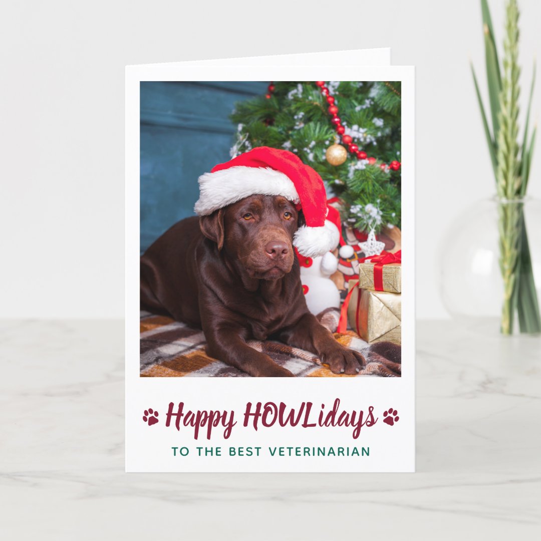 Happy HOWLidays Veterinarian Custom Pet Photo Holiday Card | Zazzle