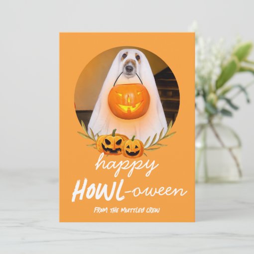 Happy Howloween | Halloween Pet Photo Holiday Card | Zazzle