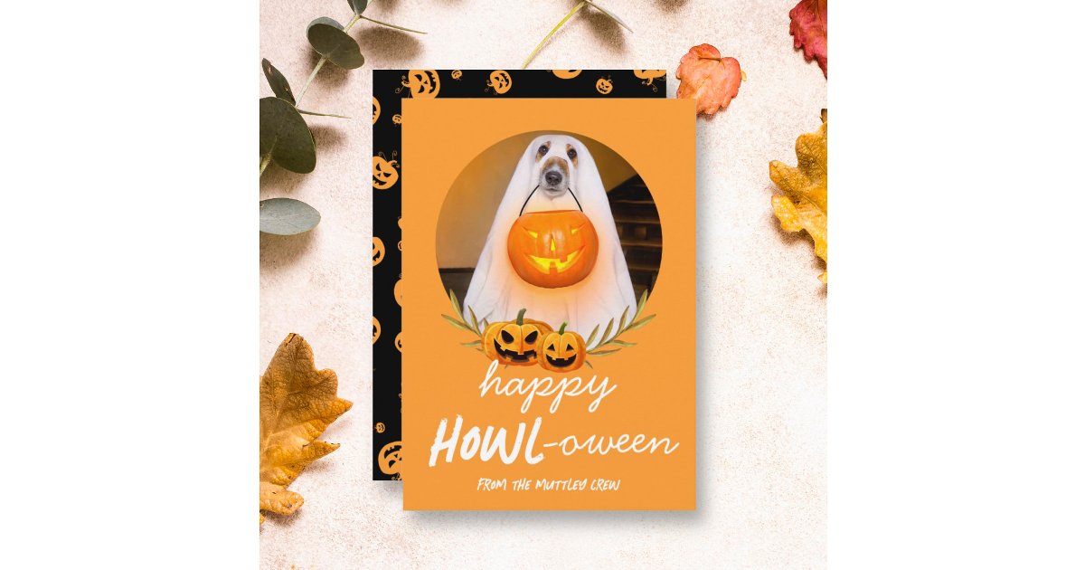 Happy Howloween | Halloween Pet Photo Holiday Card | Zazzle