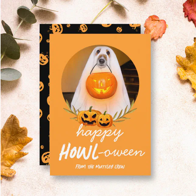Happy Howloween | Halloween Pet Photo Holiday Card | Zazzle