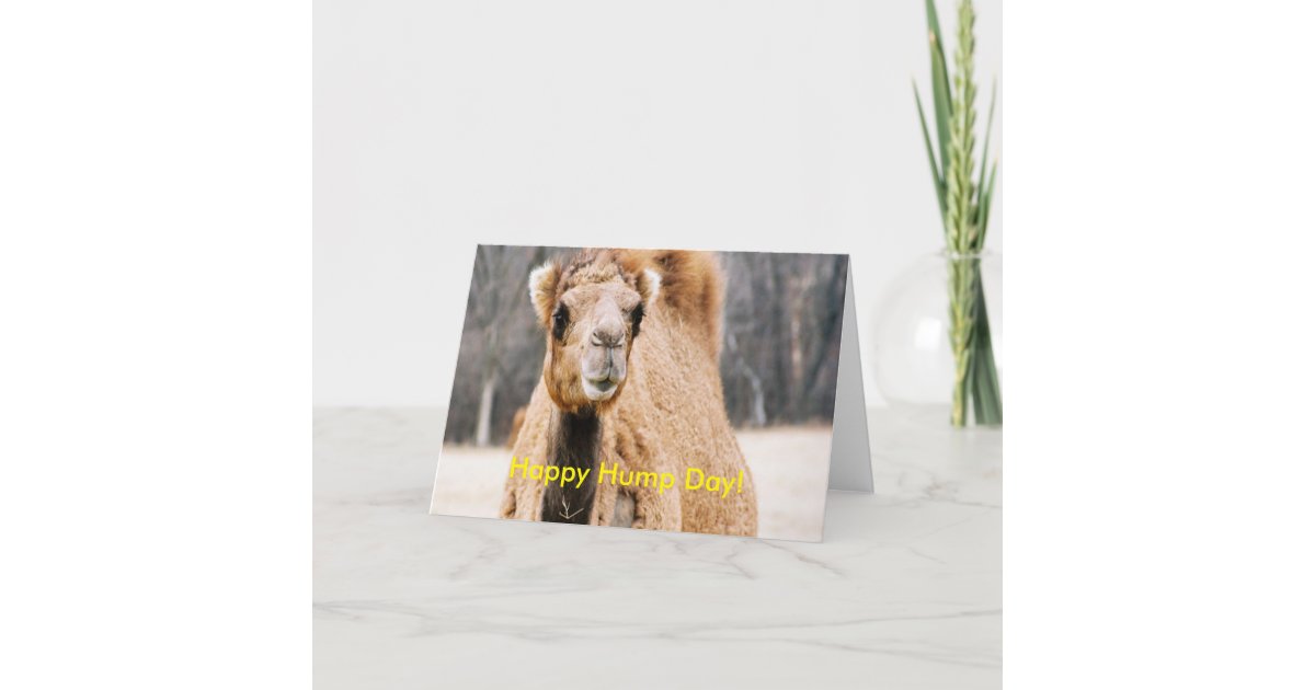 Happy Hump Day Card | Zazzle
