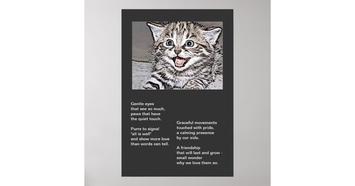 Happy Kitten Photocopy Effects Poster | Zazzle