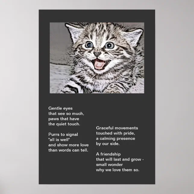 Happy Kitten Photocopy Effects Poster | Zazzle
