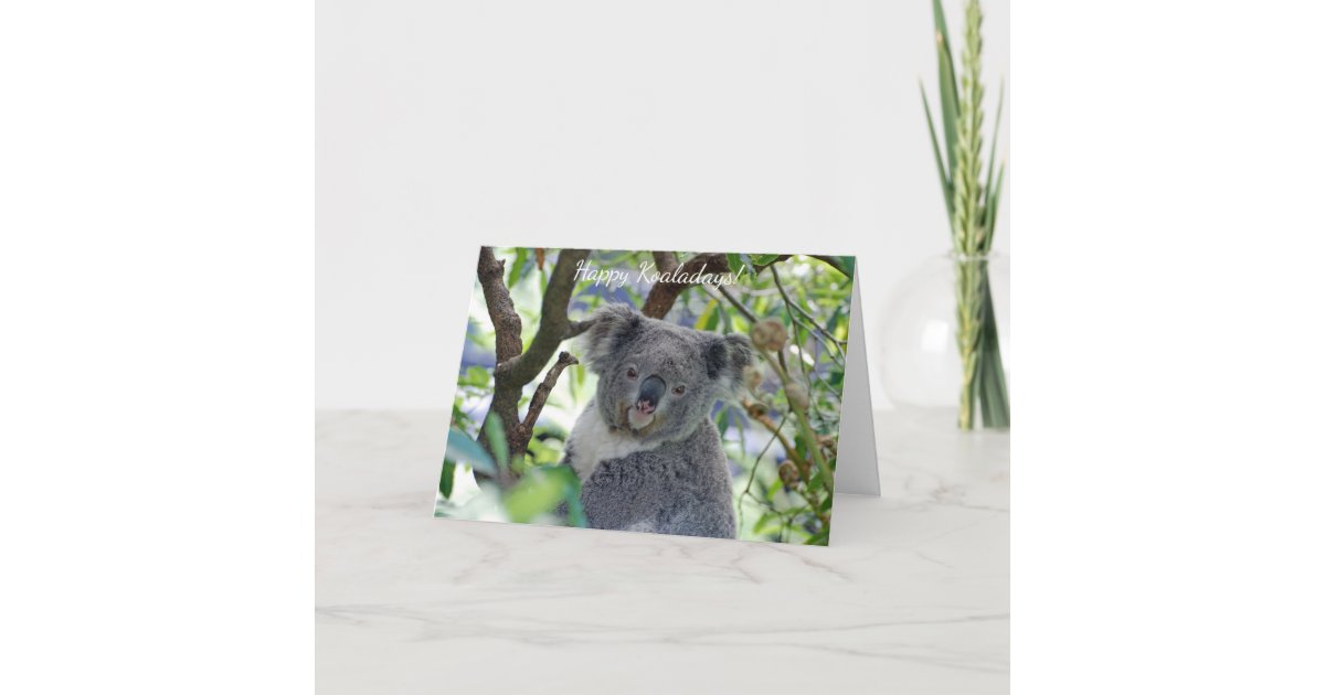 Happy Koaladays adorable koala Christmas card | Zazzle