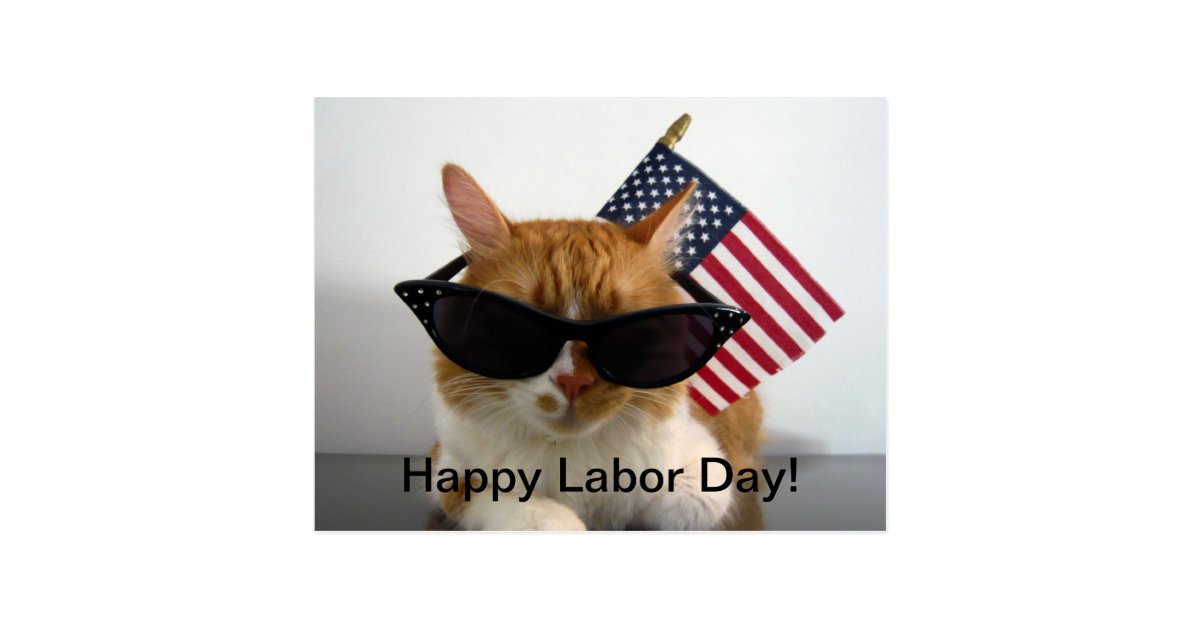 Happy Labor Day Cool Cat with Flag Postcard | Zazzle.com