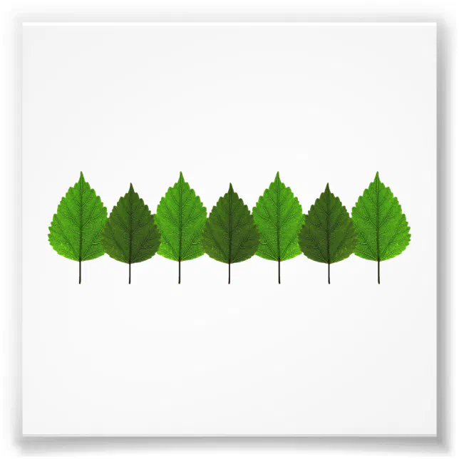 Happy Little Green Tree Leaf Forest Photo Print | Zazzle