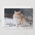 Happy Mew Year Cat Photo New Years Holiday Card | Zazzle