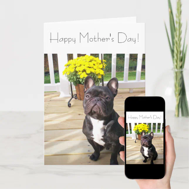 Happy Mother's Day French Bulldog w/Flowers Card | Zazzle