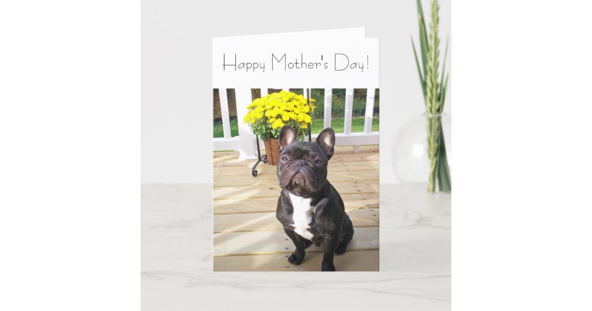 Happy Mother's Day French Bulldog w/Flowers Card | Zazzle