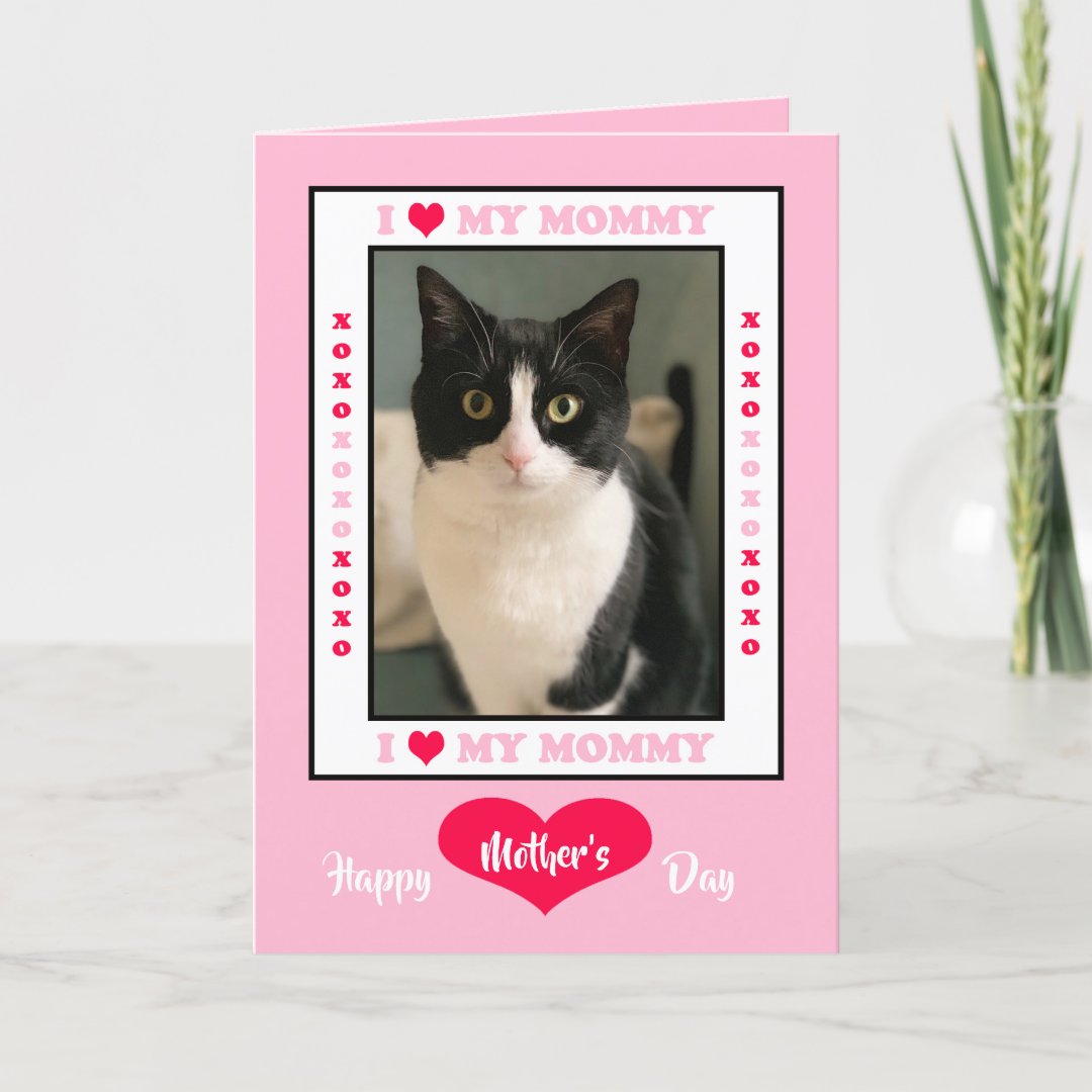 Happy Mother's Day from the Cat Card -- Your Photo | Zazzle