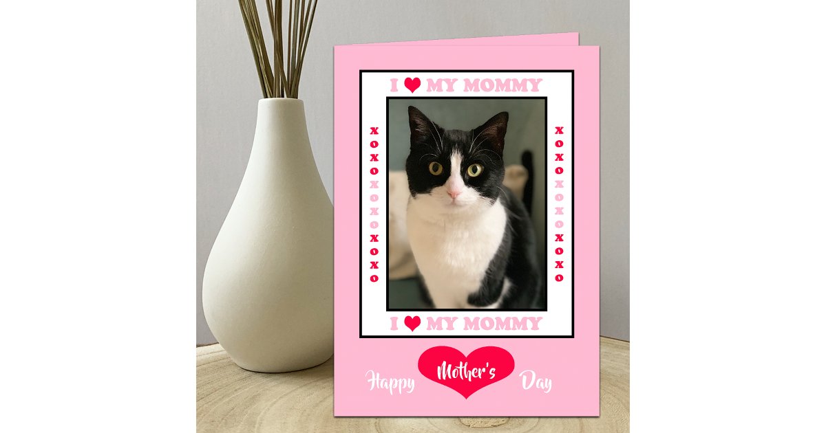 Happy Mother's Day from the Cat Card -- Your Photo | Zazzle