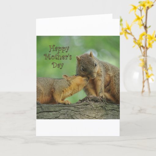 Happy Mother's Day - Mom and Baby Squirrel Card | Zazzle