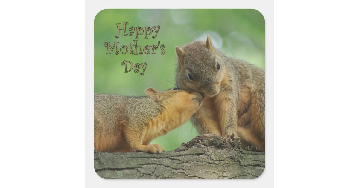 Happy Mother's Day - Mom and Baby Squirrel Square Sticker | Zazzle