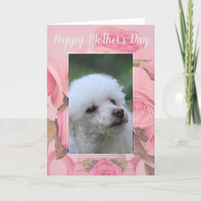 Happy Mother's Day poodle puppy greeting card | Zazzle.com