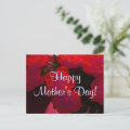 Happy Mother's Day Red Roses I Postcard | Zazzle
