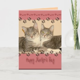 Happy Mother's Day with Two Cats Card | Zazzle