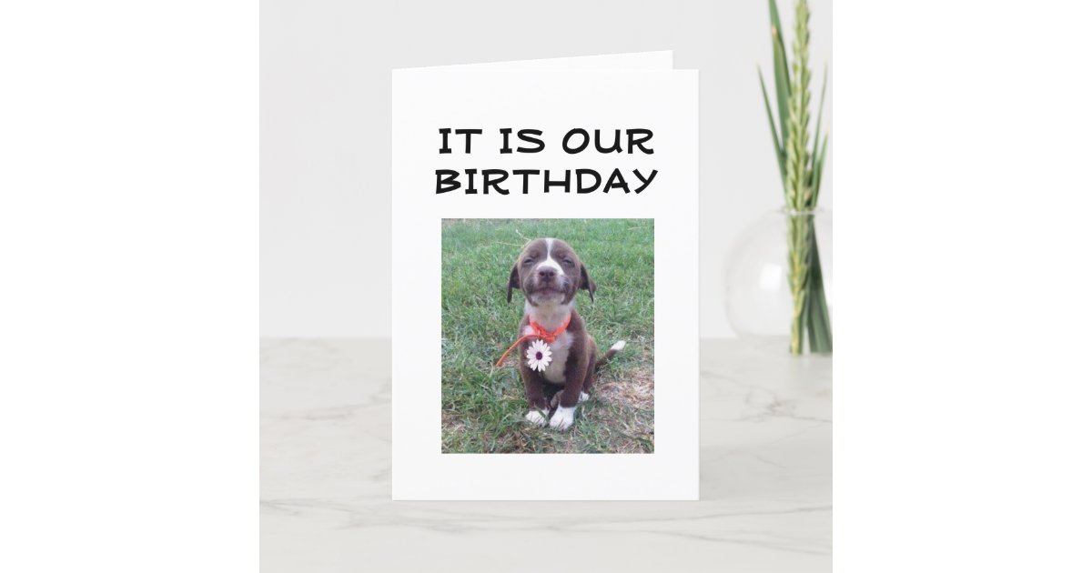 HAPPY "MUTUAL BIRTHDAY" CARD | Zazzle