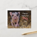 Happy National Pig Day! (March 1) Postcard | Zazzle