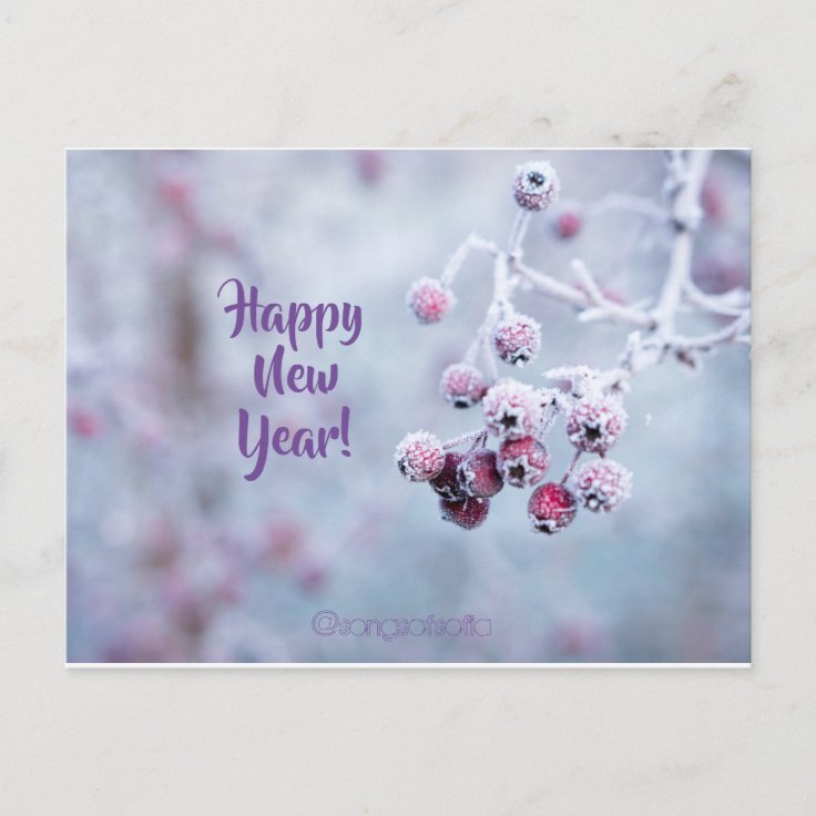 Happy New Year! Postcard | Zazzle