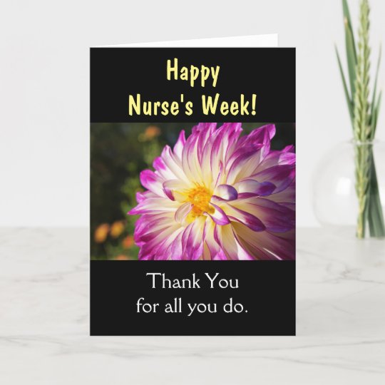 Happy Nurse's Week Greeting Cards Thank You Nurse | Zazzle.com
